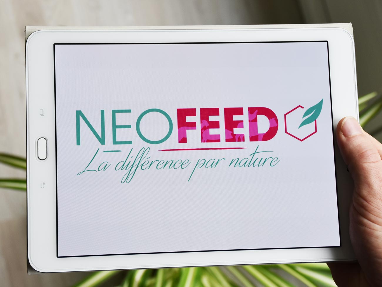 Neofeed - Presentation Neofeed’s values and Know-how